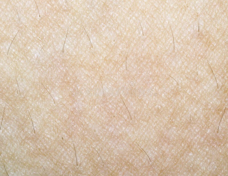 Textura humana de la piel imagen de archivo. Imagen de piel - 26409147