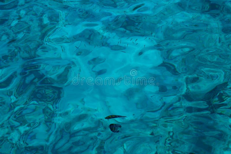 Textura marina imagen de archivo. Imagen de macro, textura - 54933023