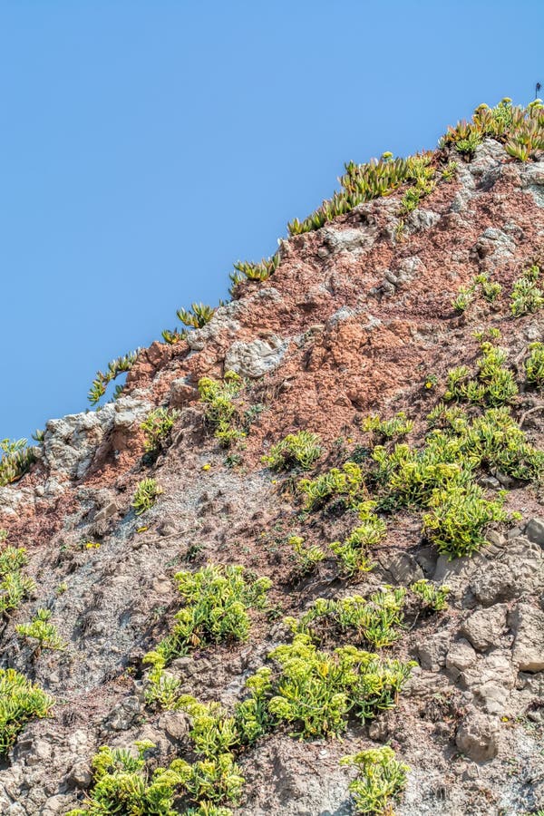 Textura rocosa foto de archivo. Imagen de roca, barranca - 77052152