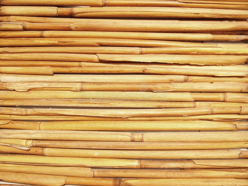 Textura Seca Da Cana Para Fundo Bege Natural Imagem de Stock - Imagem ...