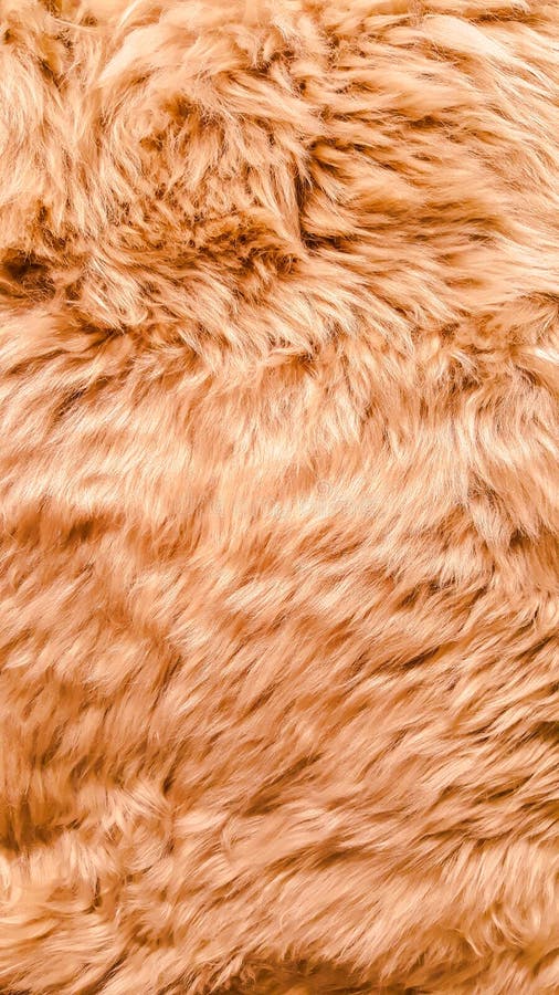 Textura suave de la piel foto de archivo. Imagen de extracto - 67378200