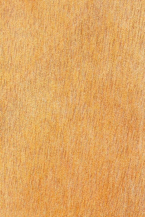Textura Velha Da Madeira De Faia Imagem de Stock - Imagem de detalhe ...