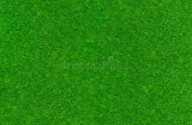 Verde Pantano Color Pictures And Images - RGB Color Hex Code [#408000 ...