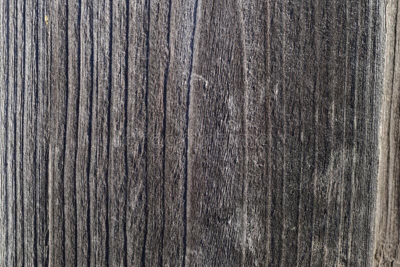 Textural drawing of a tree stock image. Image of aged - 171809727