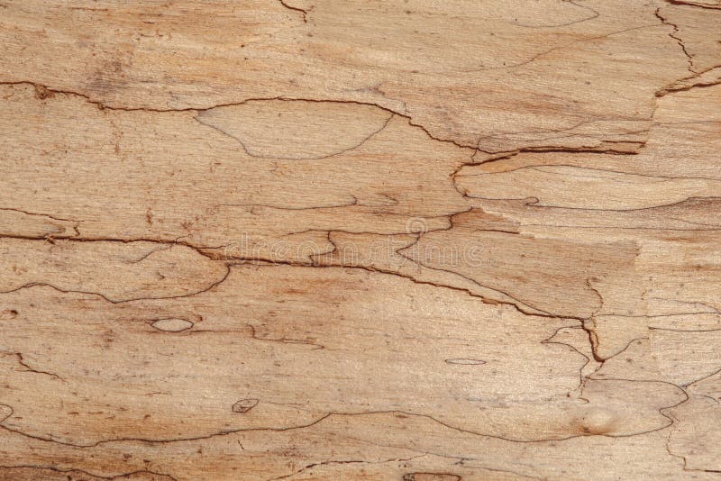 Textural Image of a Wooden Surface Stock Photo - Image of hardwood ...