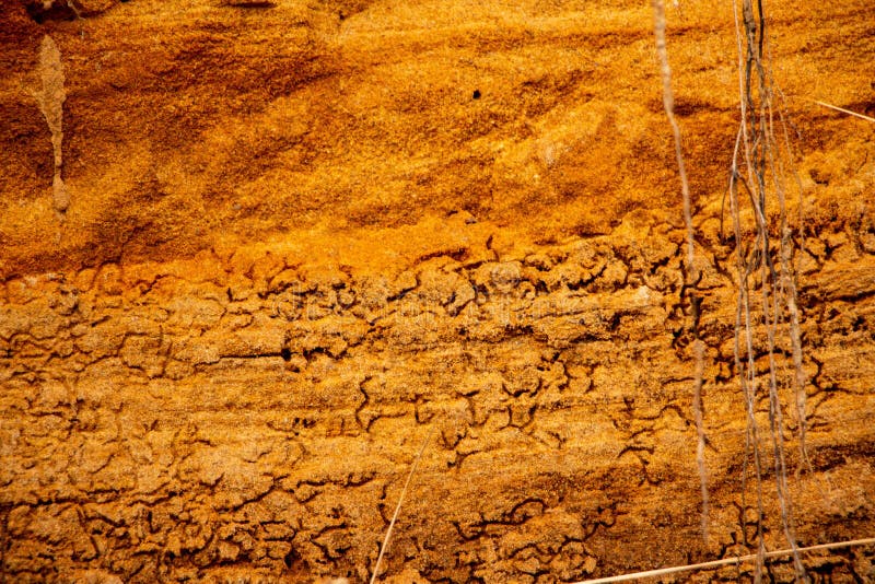 Textural Sand, with Relief Surface, Multi-colored Layers and Different ...