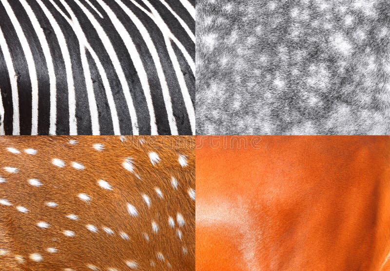 Texturas animales foto de archivo. Imagen de alfombra - 27859272