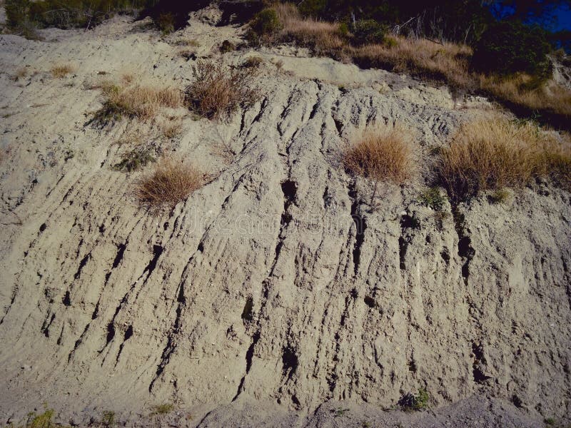 Texturas naturales foto de archivo. Imagen de texturas - 106040988