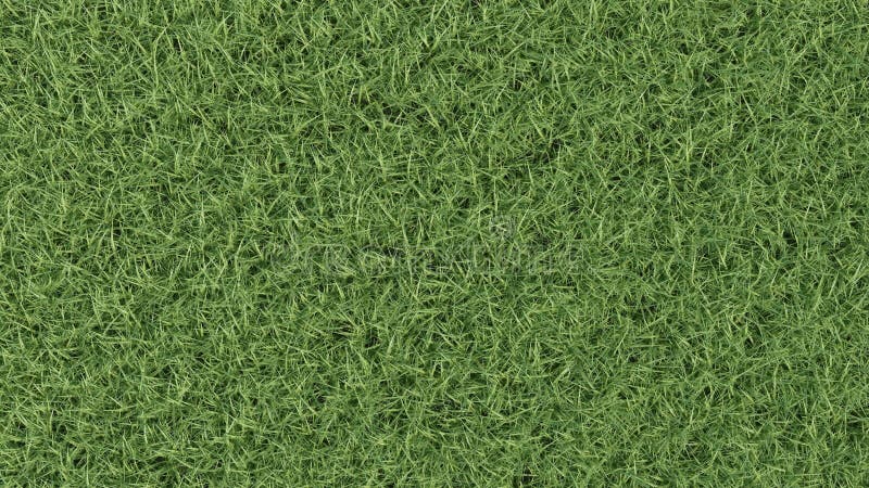 Texture à Haute Résolution D'herbe Illustration Stock - Illustration of ...