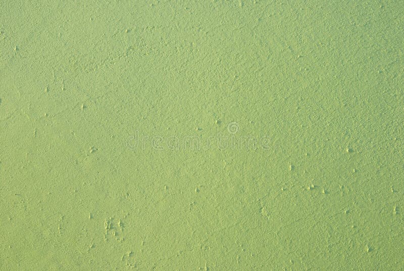 Texture stock photo. Image of light, grain, paint, architecture - 19040100