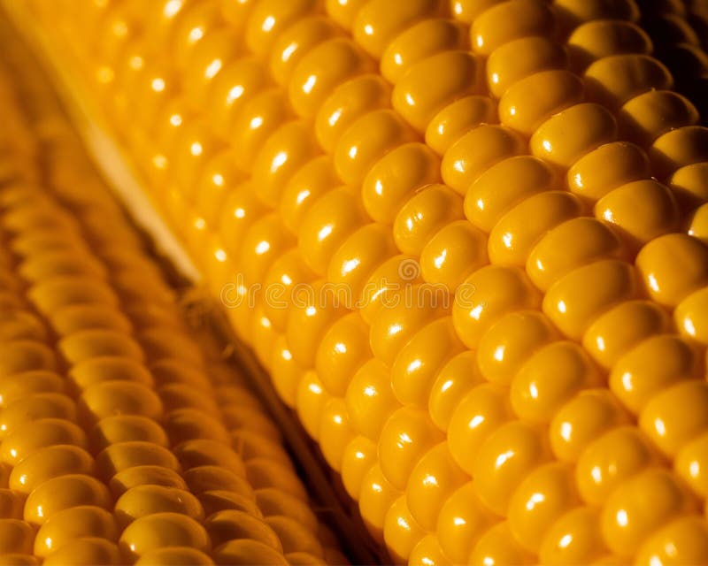 Yellow Sweet Corn Texture in Macro Shot Stock Image - Image of shot ...
