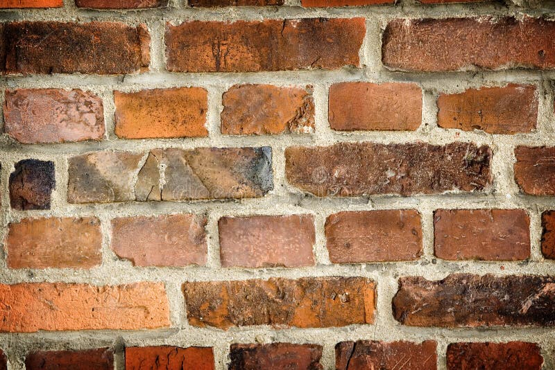 Sponge texture stock photo. Image of natural, color, isolated - 22097588