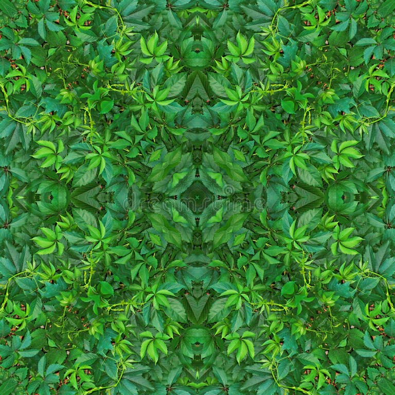 Ivy Texture Stock Illustrations – 4,596 Ivy Texture Stock Illustrations ...