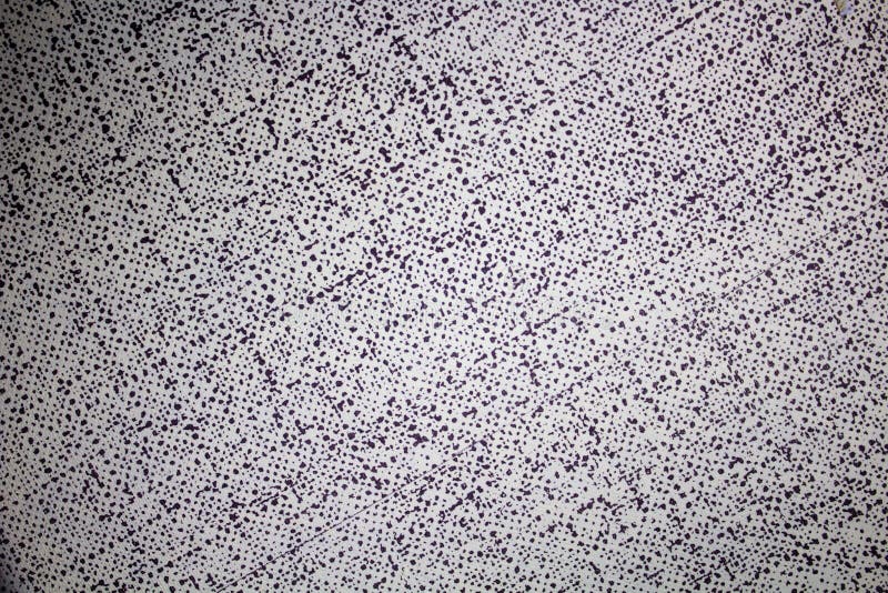 Texture of Abstract Dot Design Stock Photo - Image of external ...