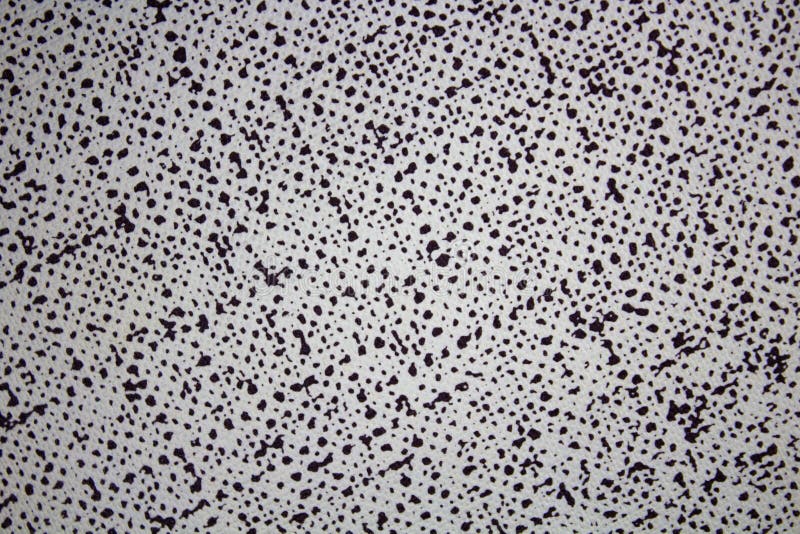 Texture of Abstract Dot Design Stock Photo - Image of backgound ...