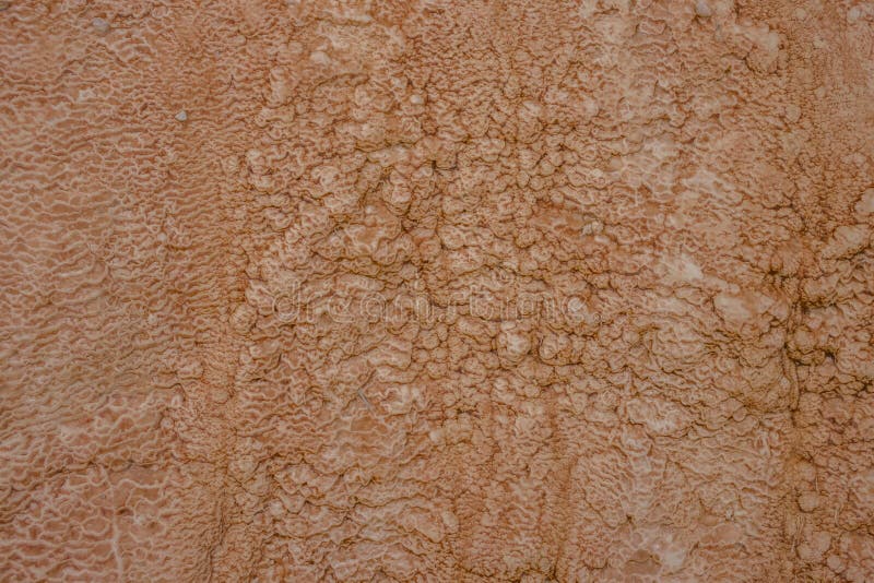 Green Traverten Mermer Texture Stock Photos - Free & Royalty-Free Stock ...