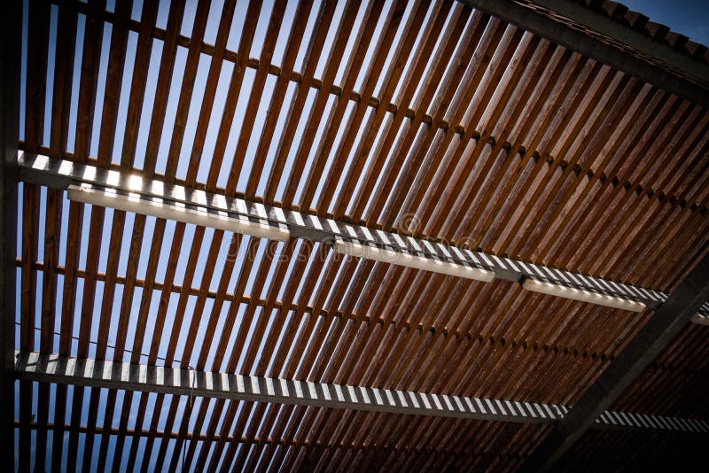 Texture abstract stock photo. Image of forms, natural - 92197454