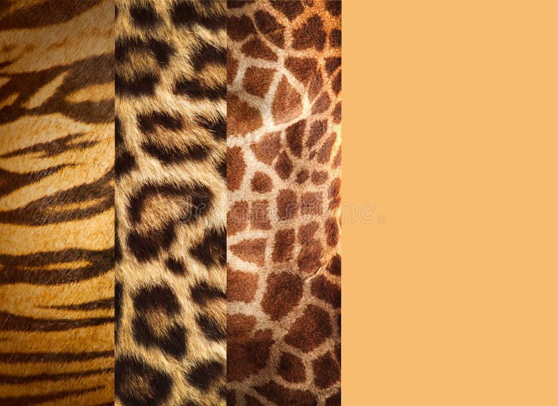 Set of Seamless Textures of Animal Skins, Stock Illustration ...