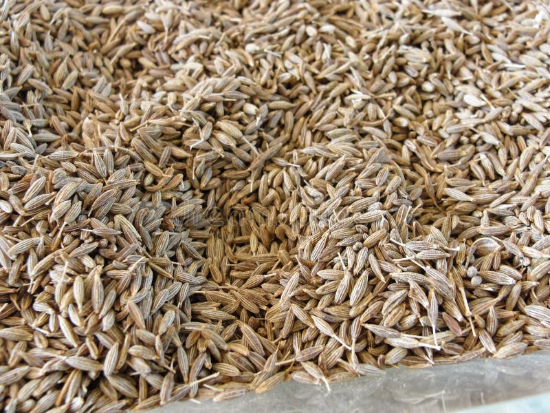 The Texture of Anise Grains on the Market in Asia Stock Photo - Image ...