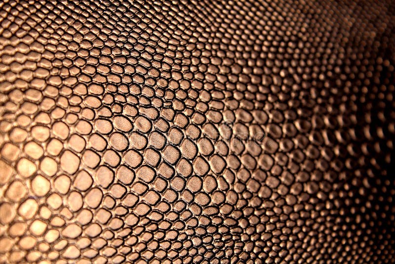 Texture of an Artificial Brown Snake Skin Stock Photo - Image of ...