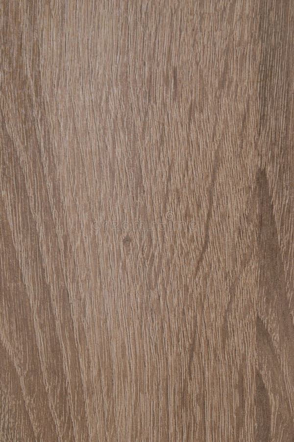 Texture ash tree light stock photo. Image of wood, flooring - 89061566