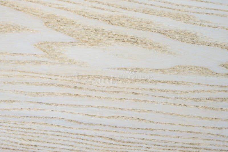 The Texture of the Ash-tree Plank. Natural Wood for Home Interior ...