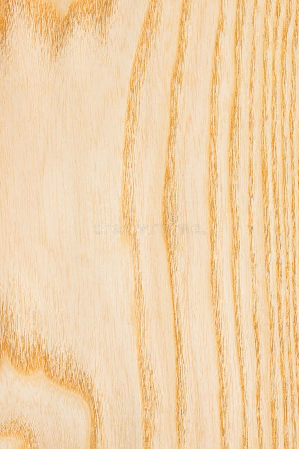 Ash Tree Texture Stock Photos - Download 5,066 Royalty Free Photos