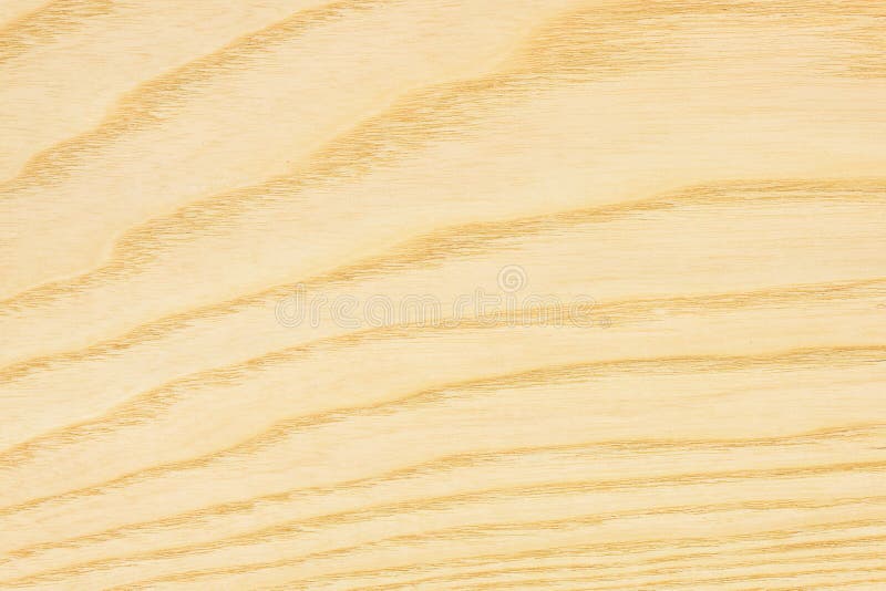 The Texture of Ash Tree Veneer. Background for Design_ Stock Image ...