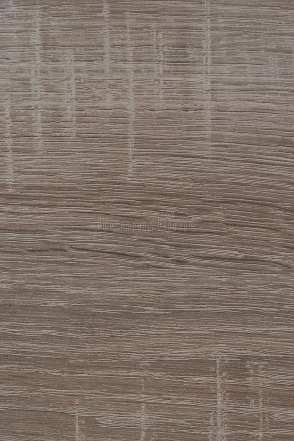 Texture Ash TTexture Ash Tree Lightree Light Stock Photo - Image of ...