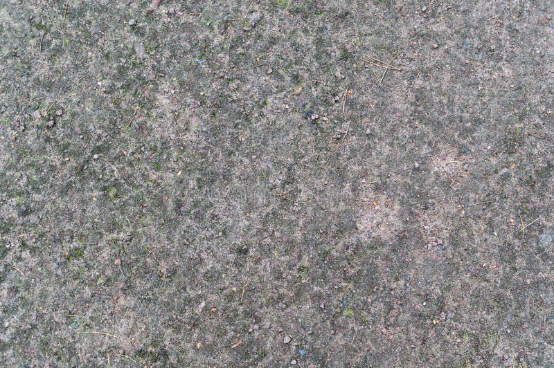 Texture Au Sol De Forêt Avec De La Mousse Fond Photo stock - Image du ...