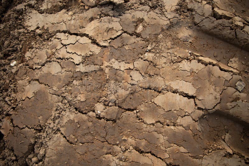 Texture au sol marron image stock. Image du stérile - 198566875