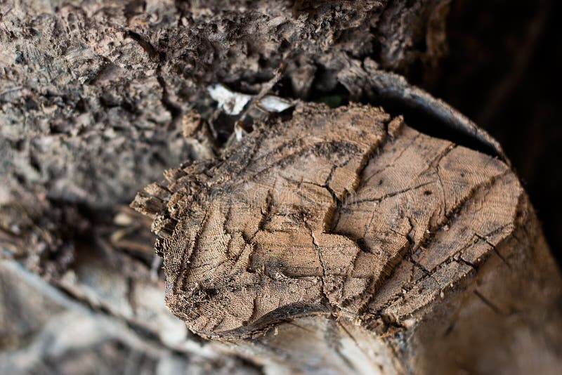 Texture Au Sol/texture En Bois/texture De Pierre Image stock - Image of ...