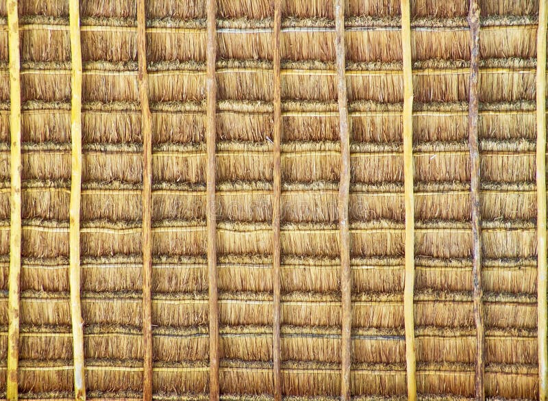 4,858 Bamboo Cane Texture Stock Photos - Free & Royalty-Free Stock ...