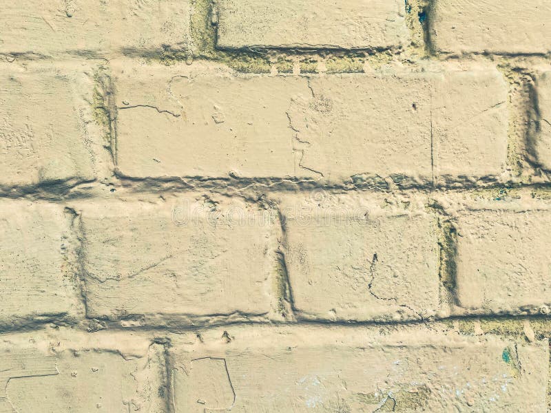 Texture, Background. Bricks are Laid in One Row and Covered with a ...
