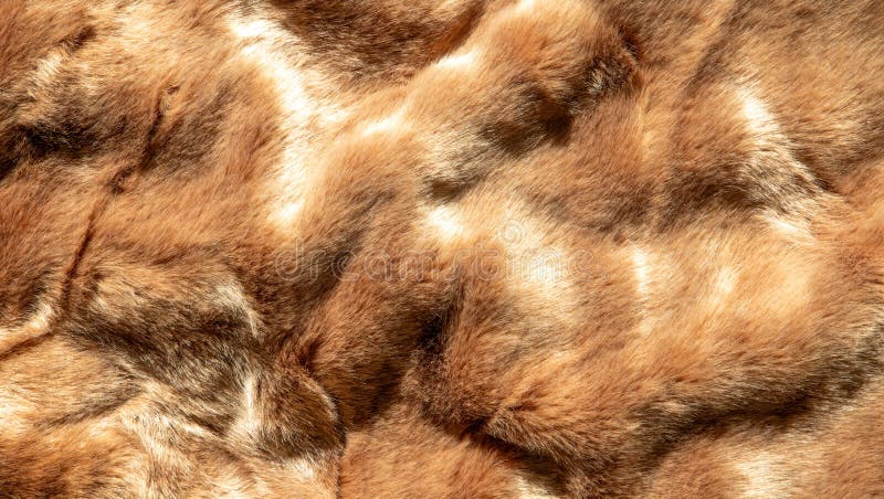 Texture Background of Brown Fur Stock Image - Image of background ...