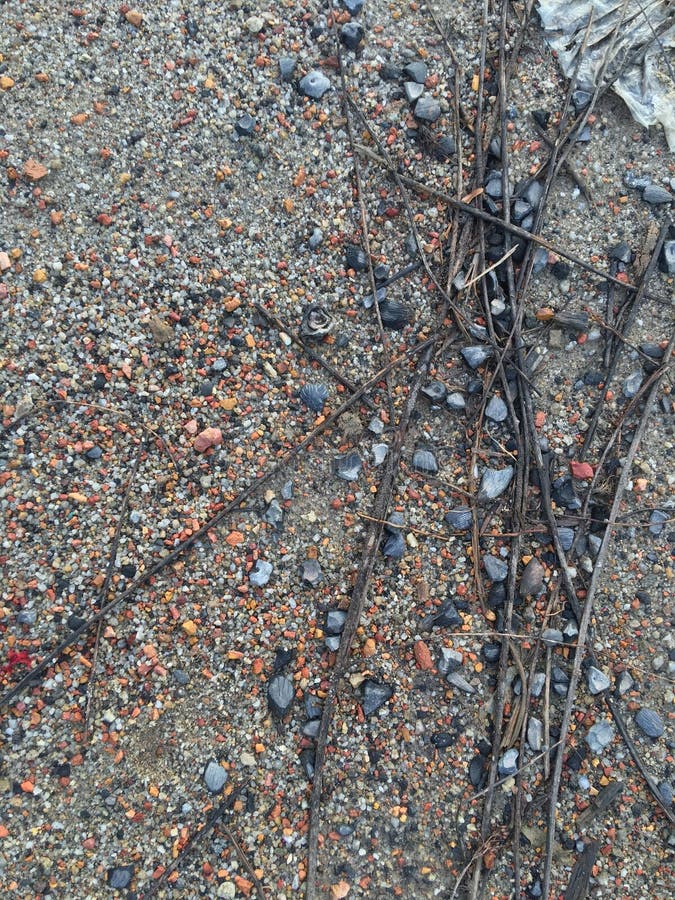 Texture Background of Clean Brown Soil Stock Image - Image of trunk ...