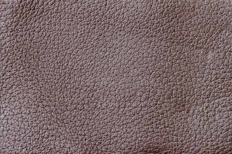 Texture of Background for a Designer, Pattern of Genuine Leather ...