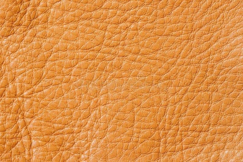 Texture of Background for Designer, Pattern of Genuine Leather Surface ...