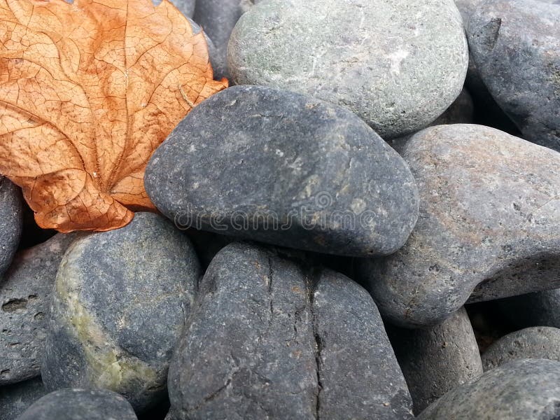 Rock Pebbles, Small, Rounded, Smooth Rocks. Texture Background for Text ...