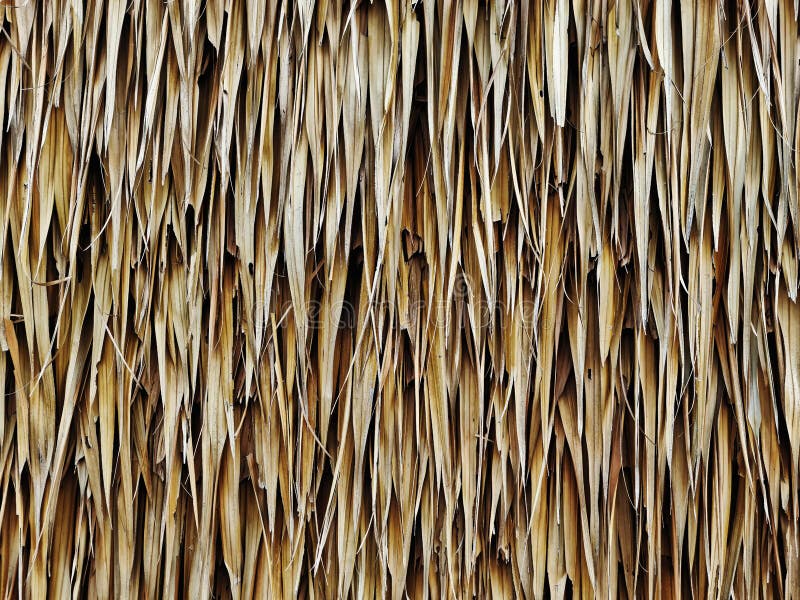 Texture Background of Dry Brown Thatched Reed Wall Stock Image - Image ...