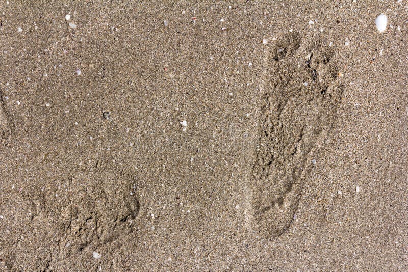 Texture Background Footprints of Human Feet on the Sand Near the Water ...