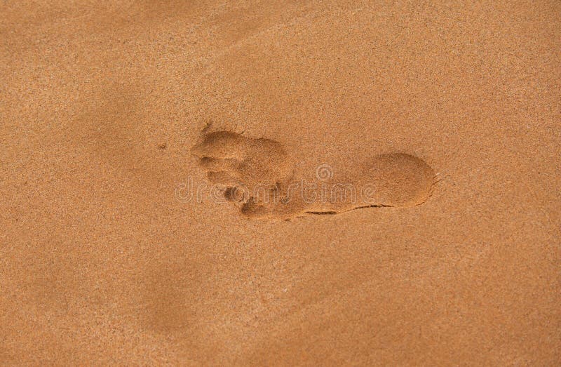 Texture Background Footprints of Human Feet on the Sand on the Sandy ...