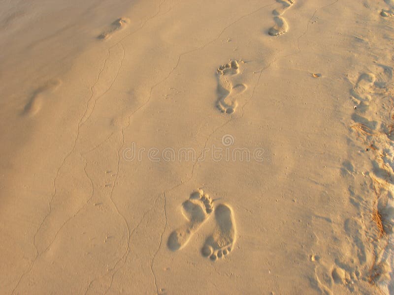 Texture Background Fun Footprints of Human Feet on the Sand Stock Image ...