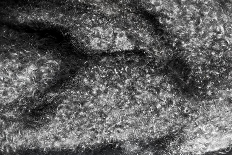 Texture, Background. the Fur of the Angora Goat Stock Image - Image of ...
