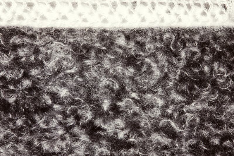 Texture, Background. The Fur Of The Angora Goat. A Goat, Of A Lo Stock ...