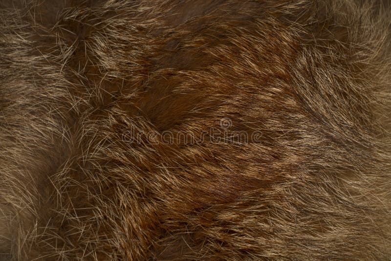 Texture, Background from a Fur Product from a Red Fox Stock Photo ...