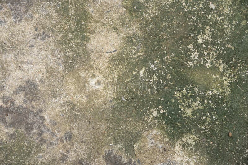 Texture and background stock photo. Image of mossy, natural - 127450432