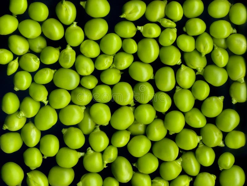 Texture and Background of Green Peas Stock Image - Image of natural ...