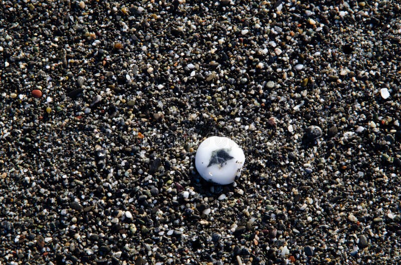 Textured Gritty Sand with Rock Stock Photo - Image of background, tiny ...