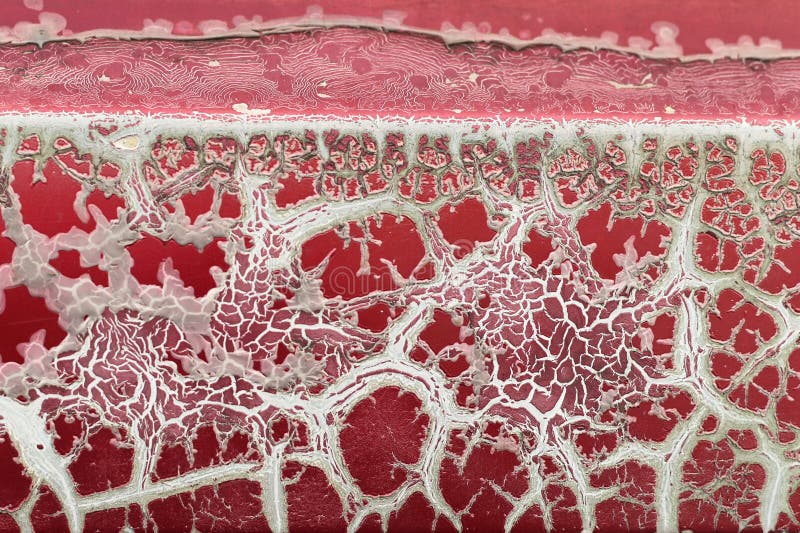 Texture or Background of the Metal Wall is Painted Red with Rust. and ...